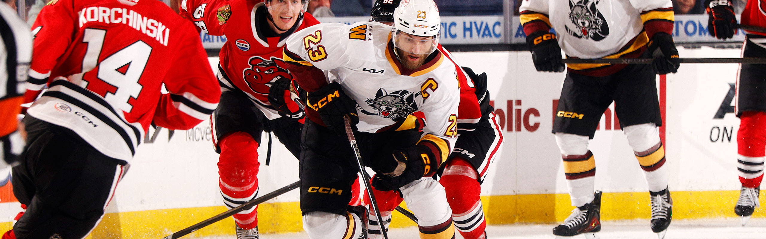 Game Highlights: Oct. 28 vs. Rockford IceHogs - Chicago Wolves