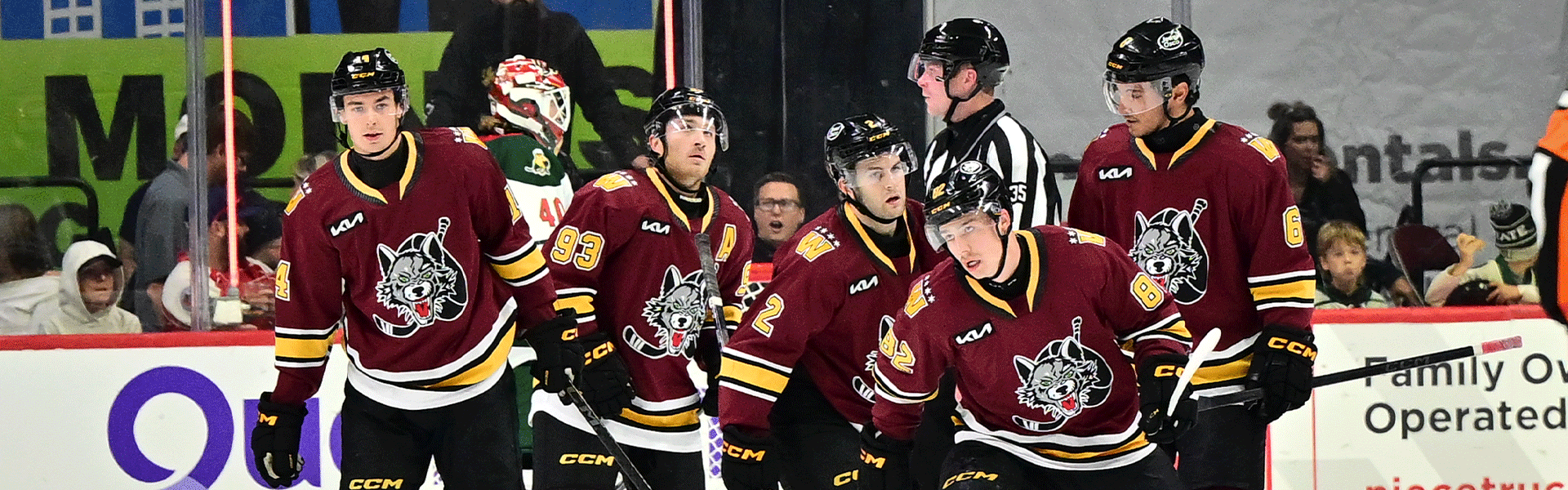WOLVES TAME WILD 4-1 IN SEASON OPENER - Chicago Wolves
