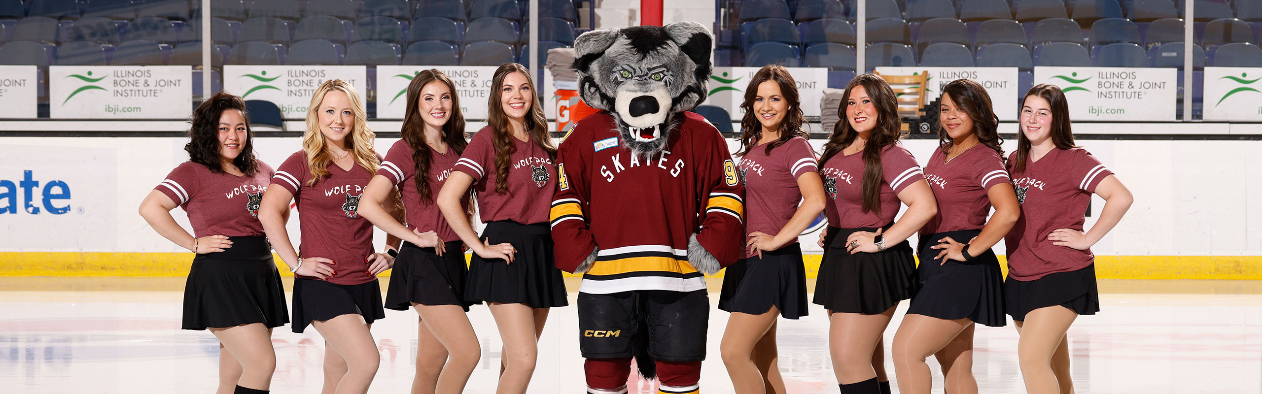 Meet Skates' Wolf Pack | Chicago Ice Hockey - Chicago Wolves