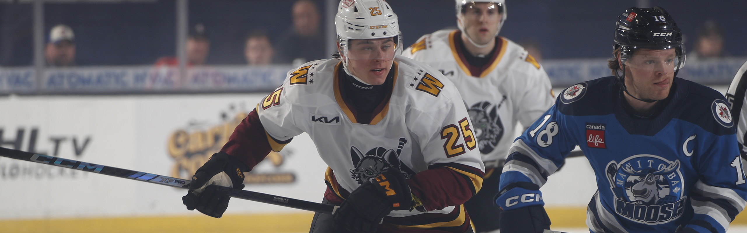 Gallery: Dec. 3 vs. Manitoba Moose - Chicago Wolves