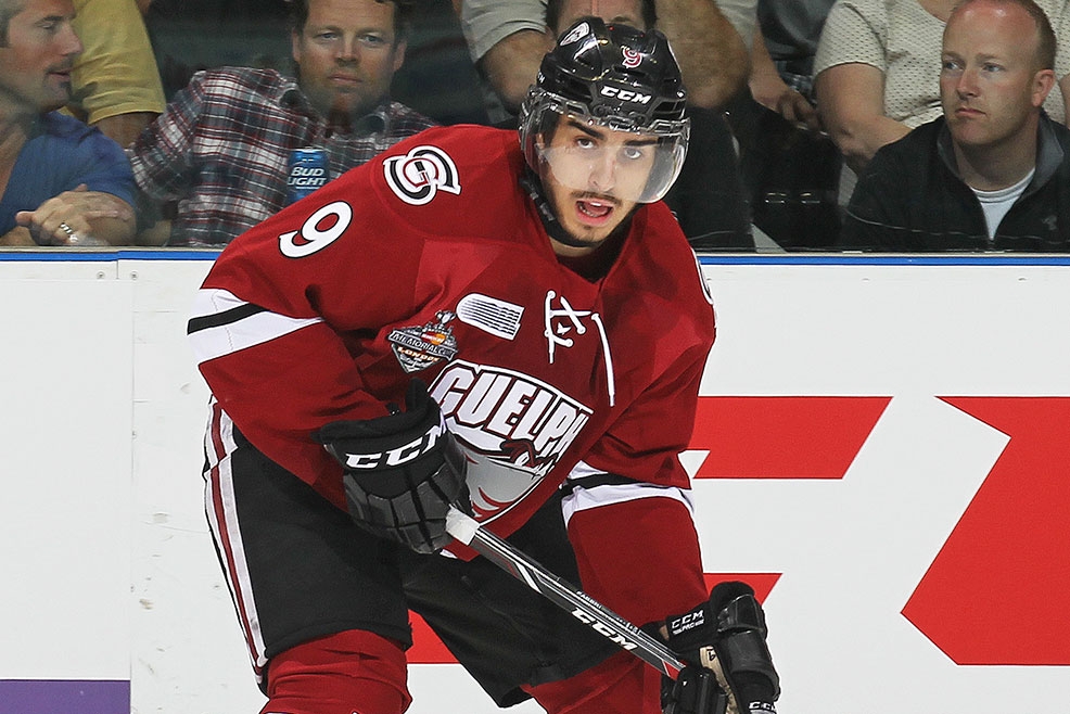 Fabbri joins the pack - Chicago Wolves